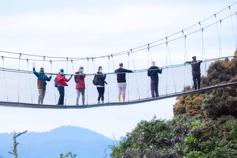 The Canopy Walk Experience in Rwanda | Visit Nyungwe Forest.